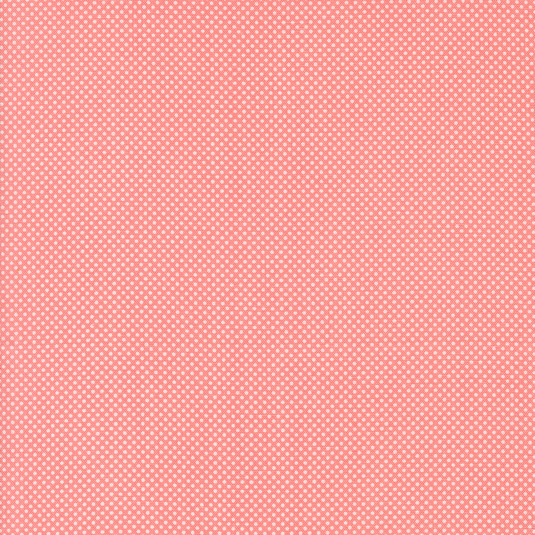 Corey Yoder of Coriander Quilts – Page 6 – The Rural Stitch Co