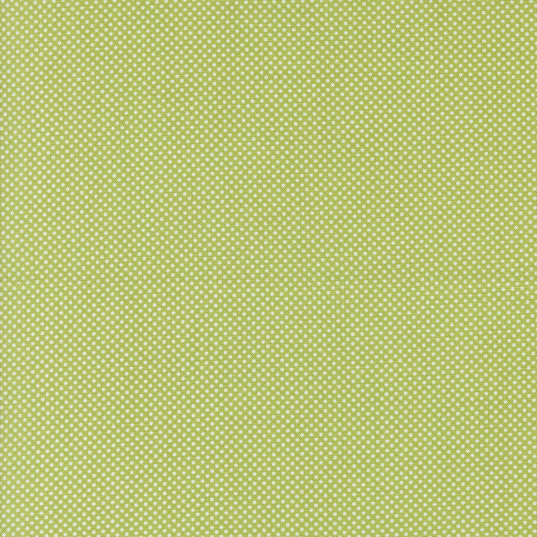 Corey Yoder of Coriander Quilts – Page 4 – The Rural Stitch Co