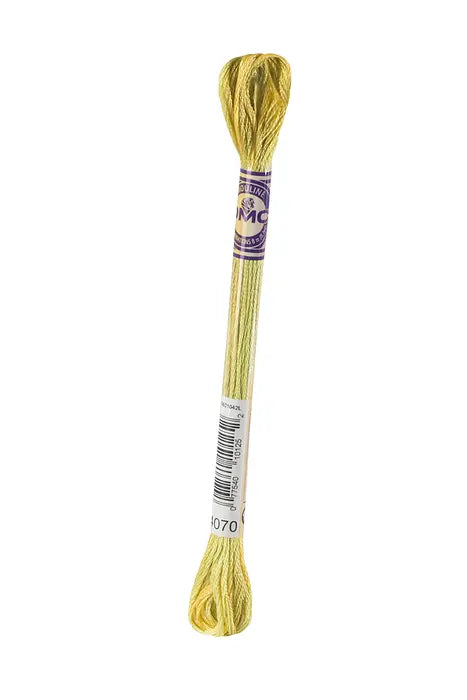 DMC 4070 Mouline Color Variations Grasslands 6 Strand Embroidery Floss ...