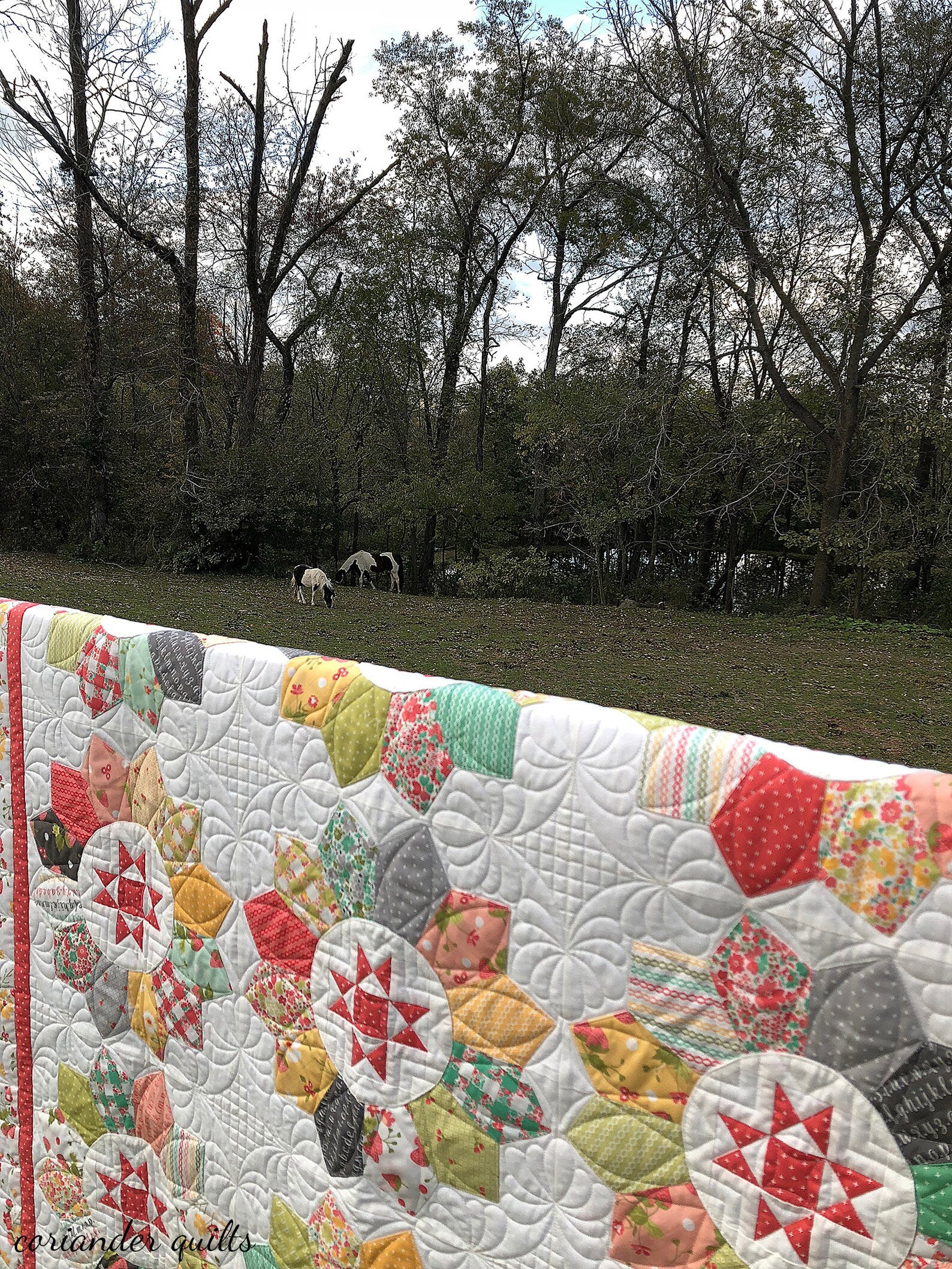 Plain and Fancy Quilt Pattern by Corey Yoder of Coriander Quilts – The ...